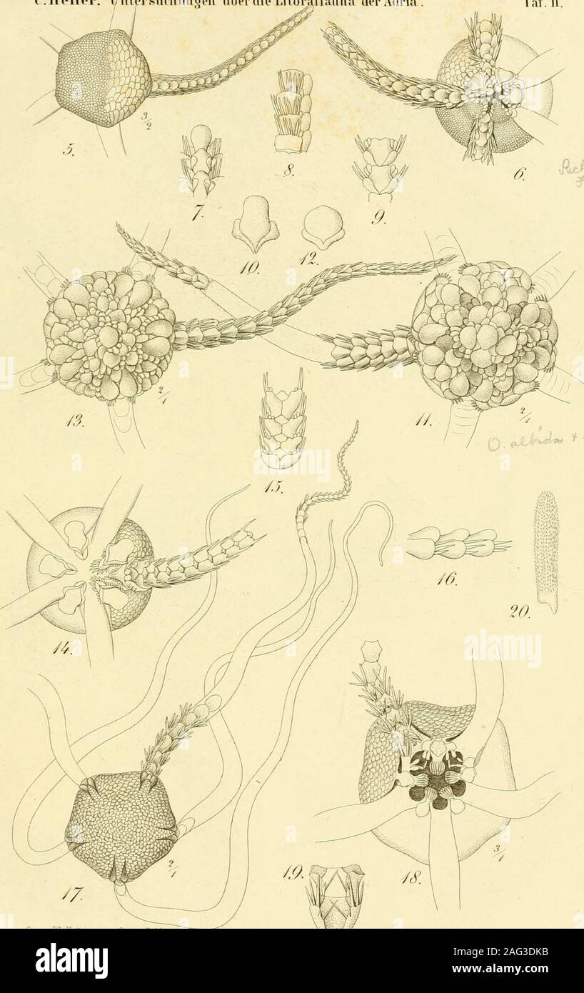 Ckenseite hi-res stock photography and images - Alamy