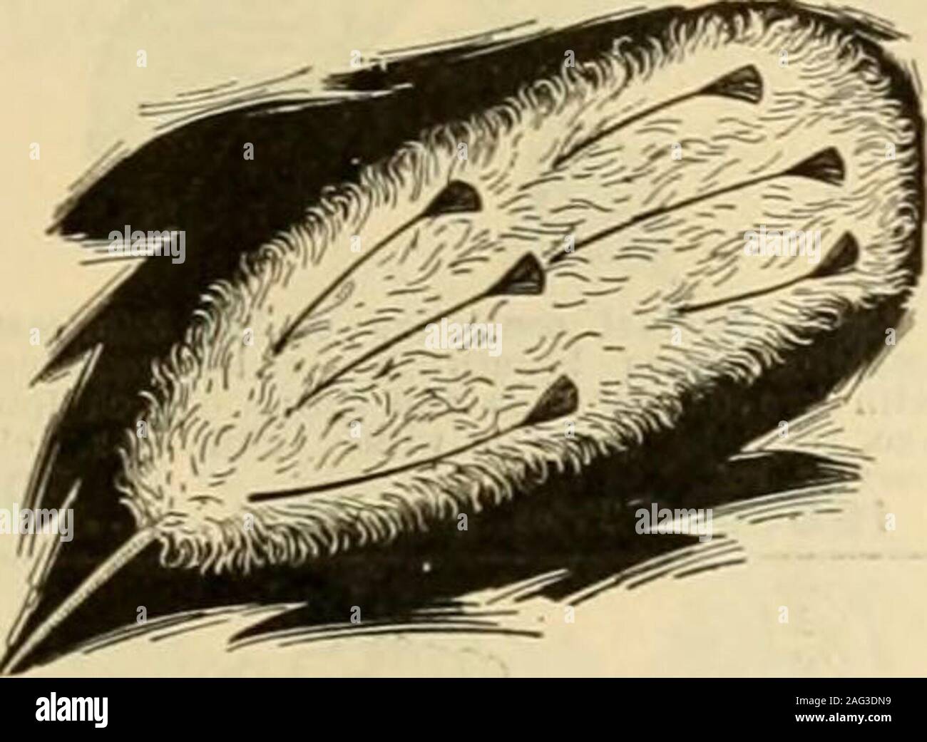 Fashionat hi-res stock photography and images - Alamy