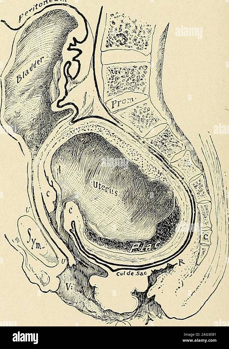 Patientshave hi-res stock photography and images - Alamy
