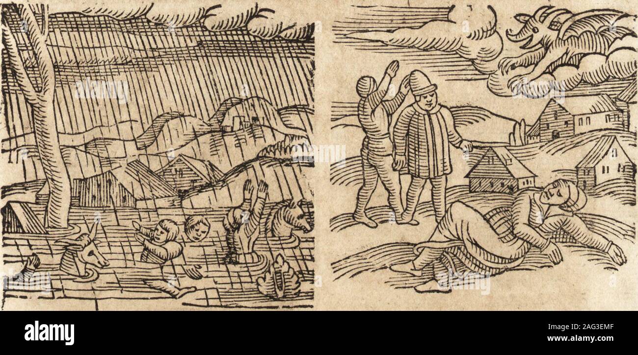 Parelia hi-res stock photography and images - Alamy