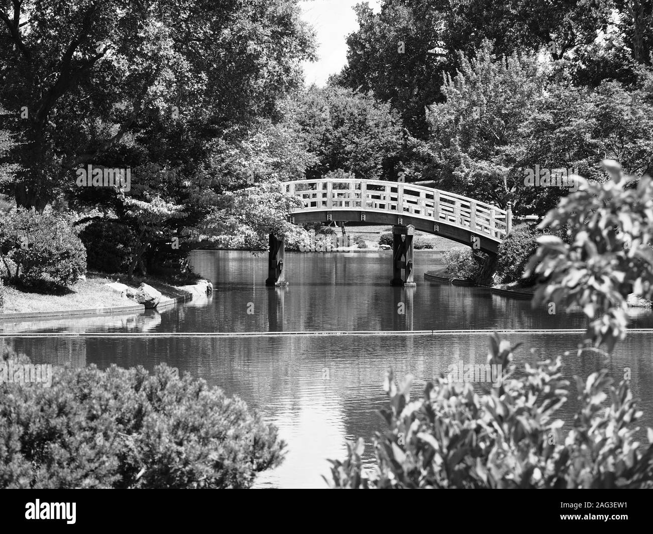 A greyscale shot of a bridge over a river in a park full of different ...