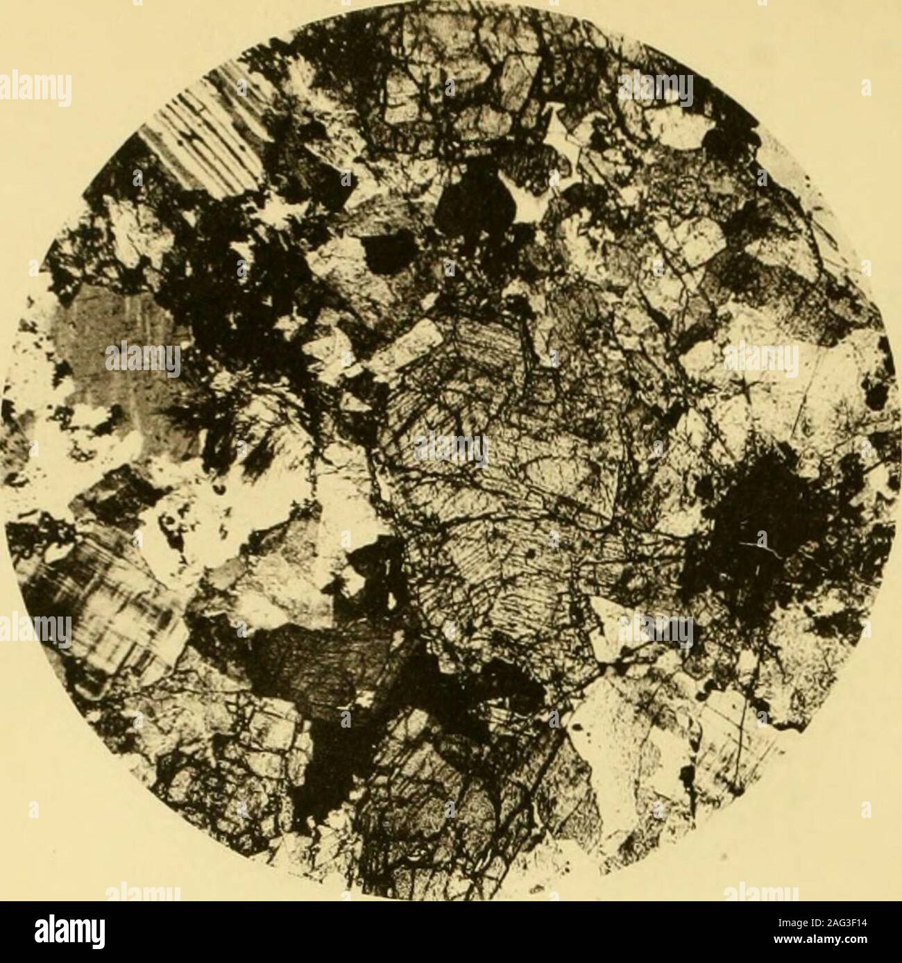 . The geology of the goldfields of British Guiana. HORNBLENDE SYENITE ...