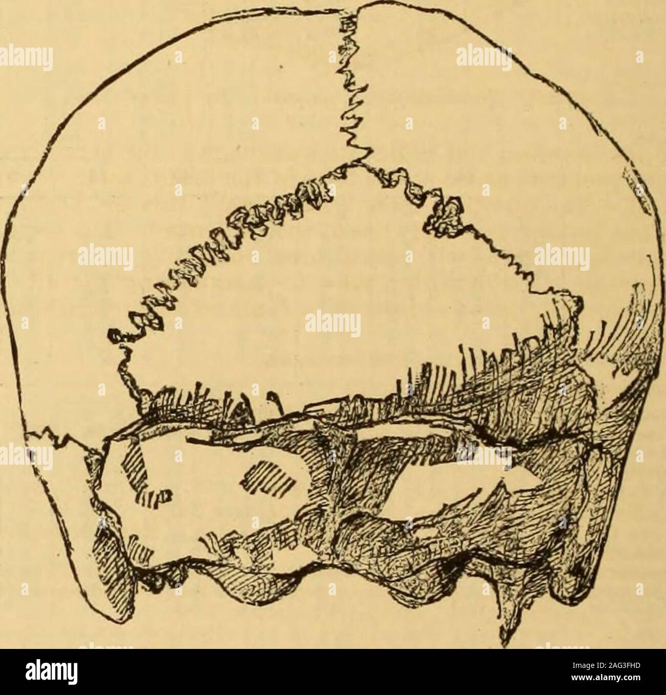 Os incas hi-res stock photography and images - Alamy