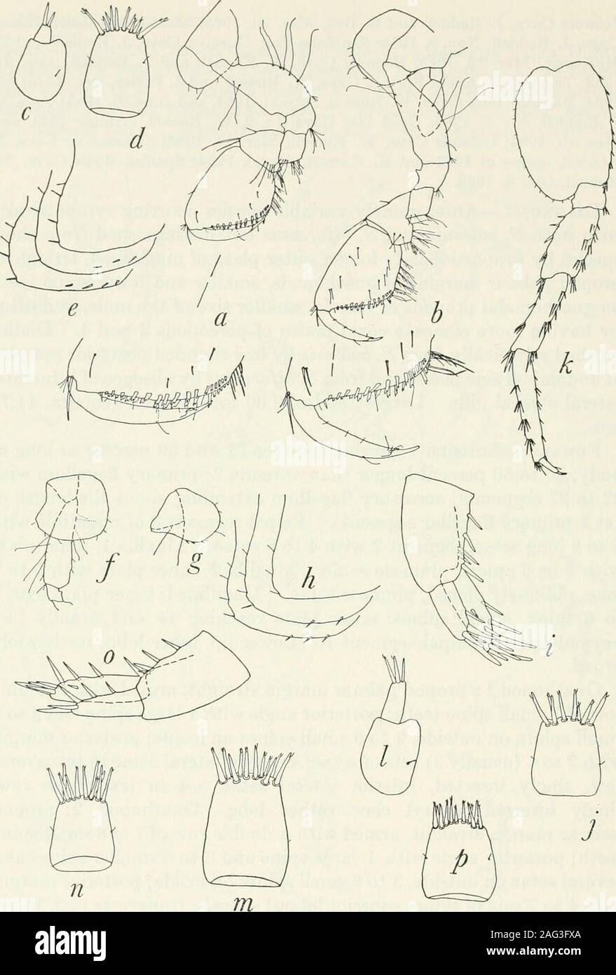 . Bulletin - United States National Museum. spines on outside, 3 to 6 ...