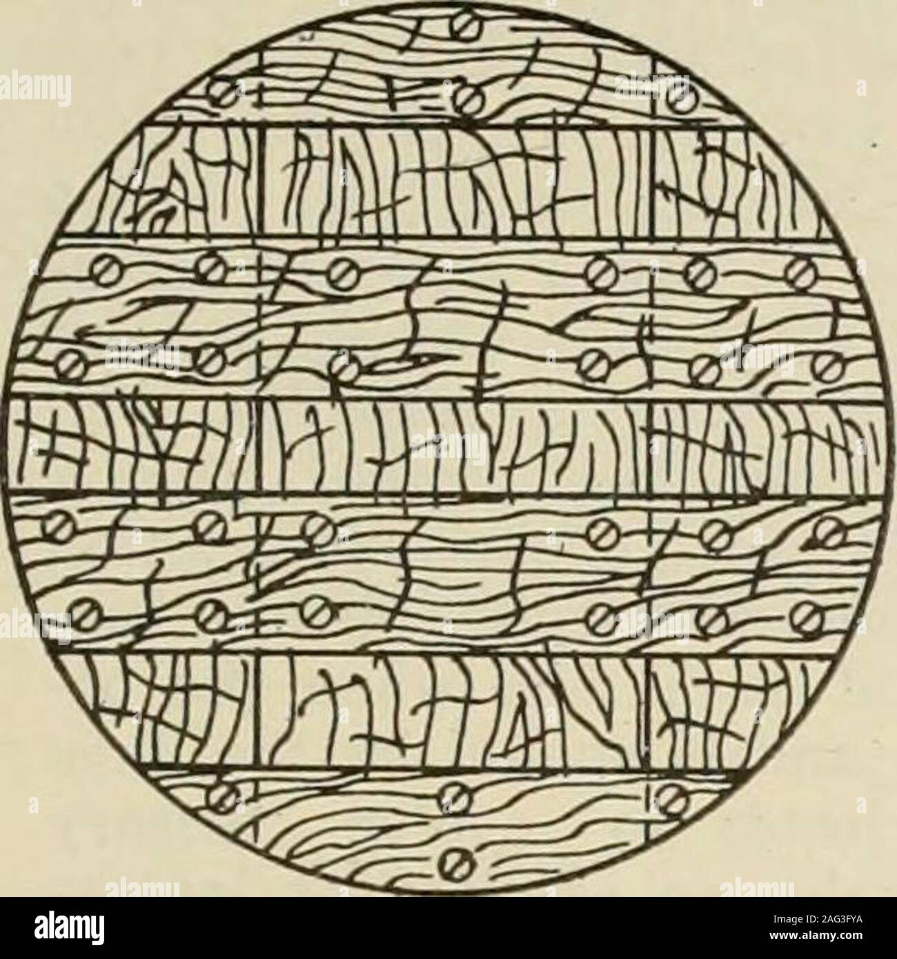 Proportionately hi-res stock photography and images - Alamy