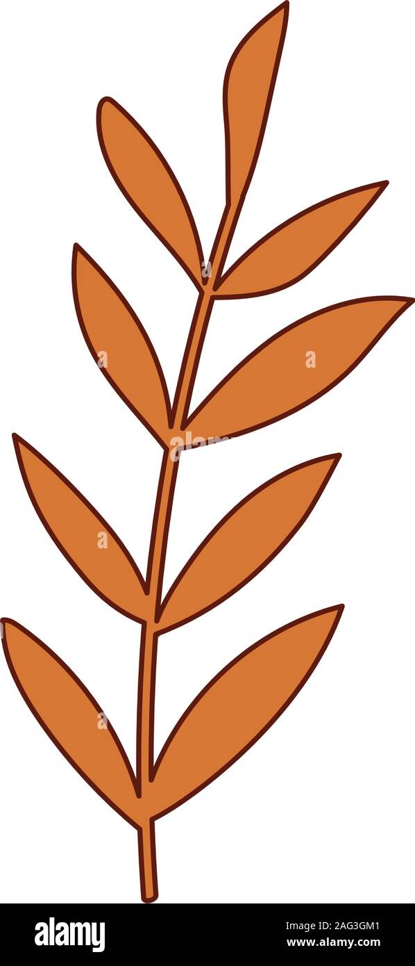 Autumn leaf design, season nature ornament garden decoration and botany ...