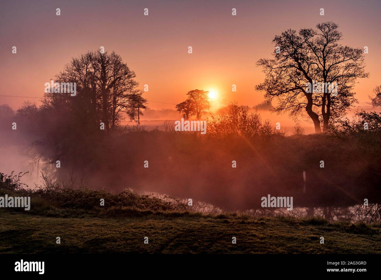Amazing forest and the sunset Stock Photo - Alamy