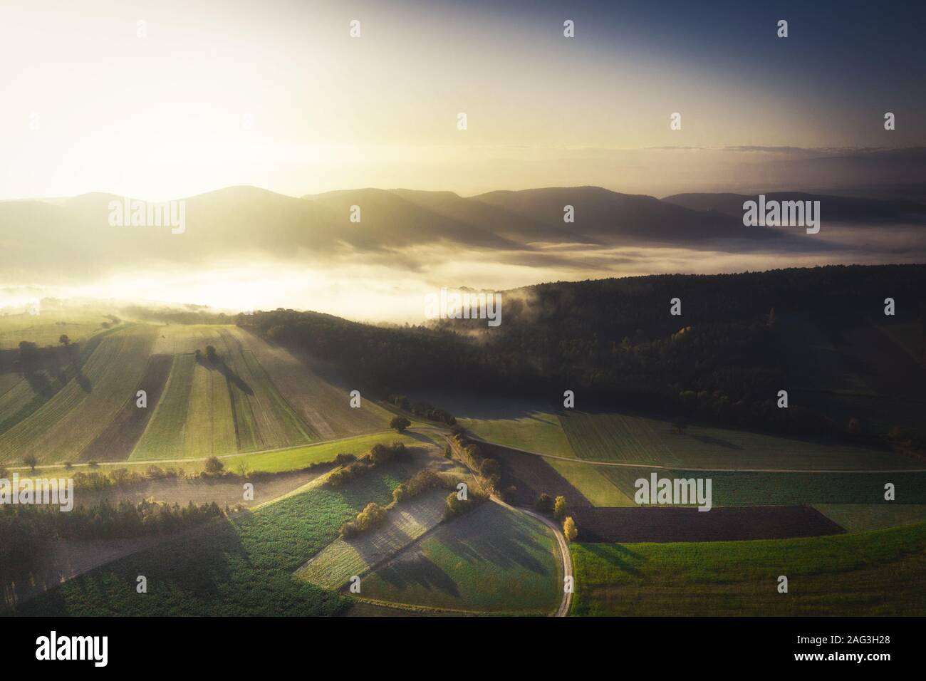 Aerial vast green field view - Agriculture field aerial photo - Green ...