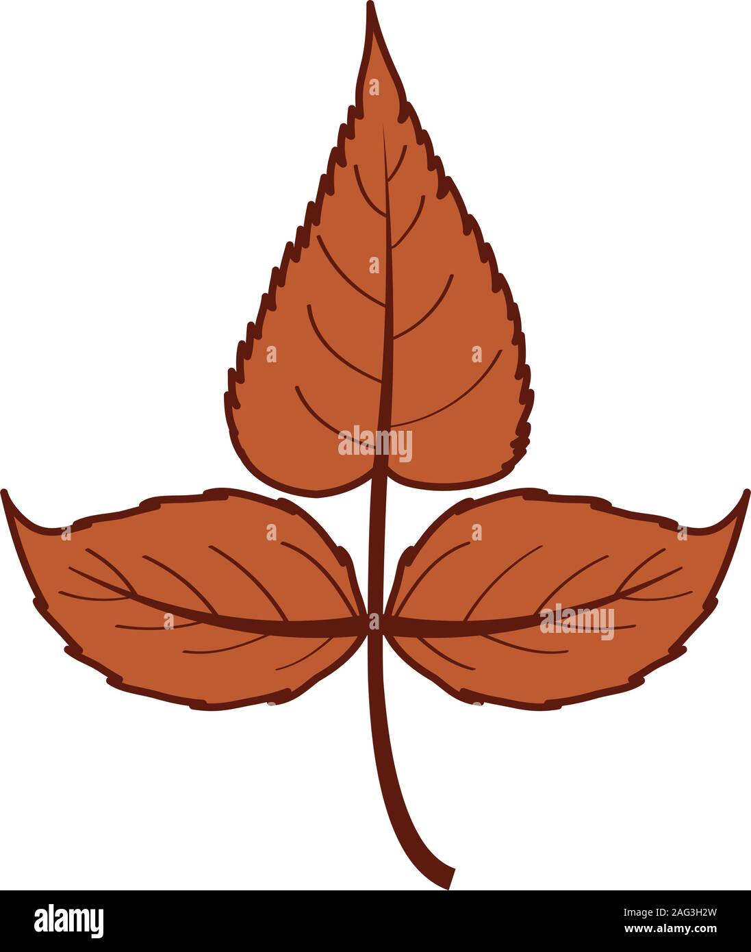 Autumn leaf design, season nature ornament garden decoration and botany ...