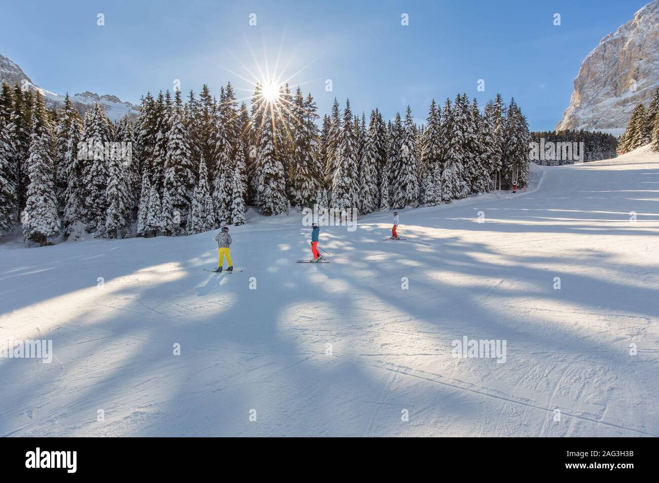 Snow covered hill and some trees with three ski players Stock Photo - Alamy