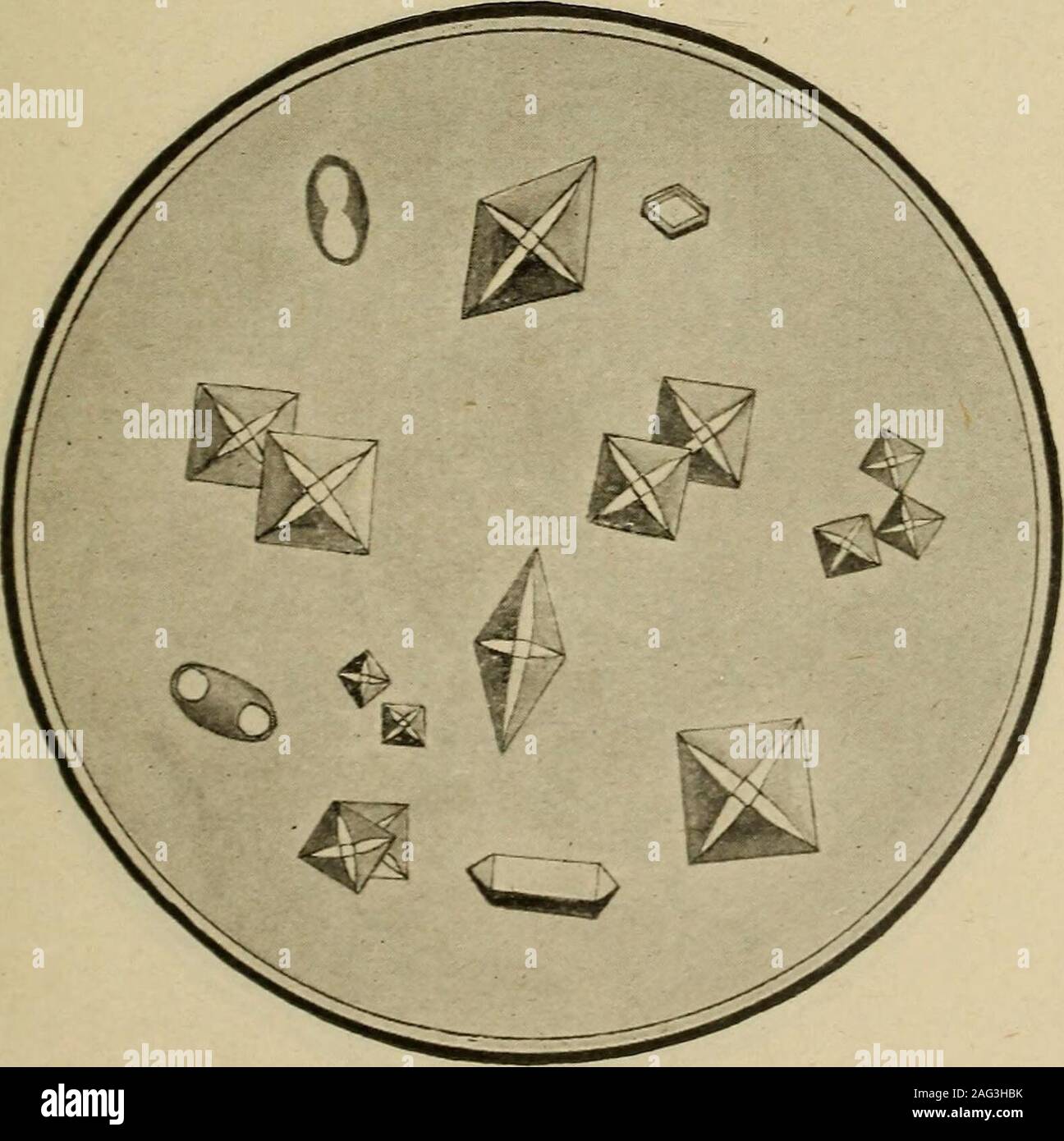 . Medical diagnosis for the student and practitioner. Fig. 68.—a ...
