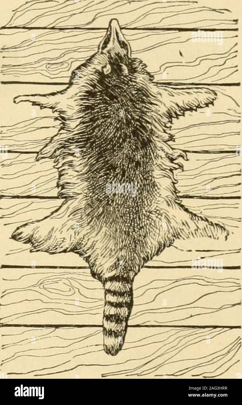 Frontier crops hi-res stock photography and images - Alamy