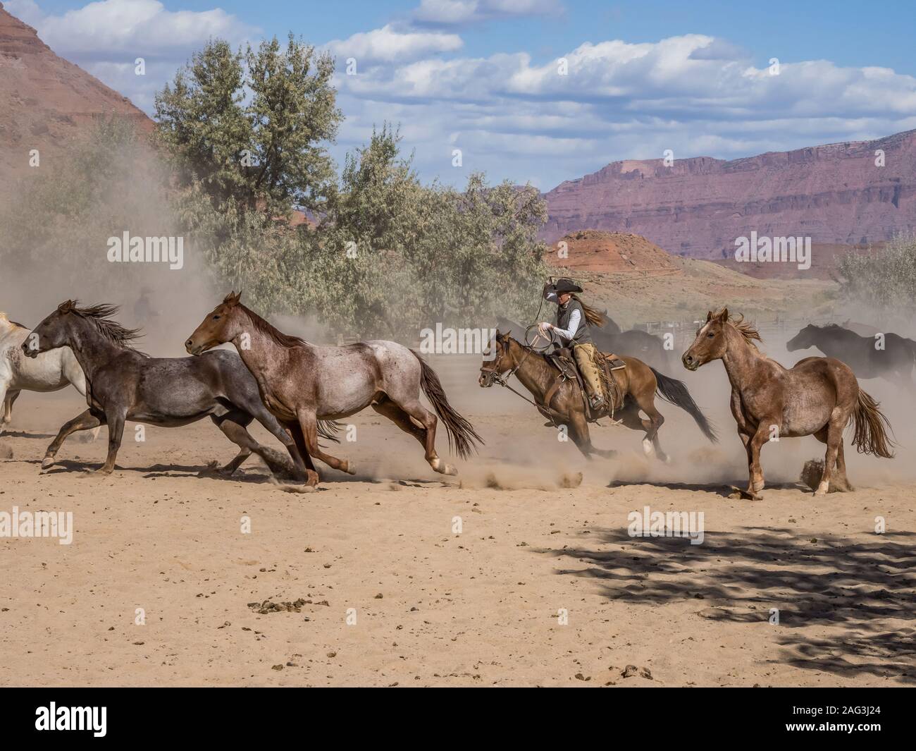 Ranching heritage hi-res stock photography and images - Alamy
