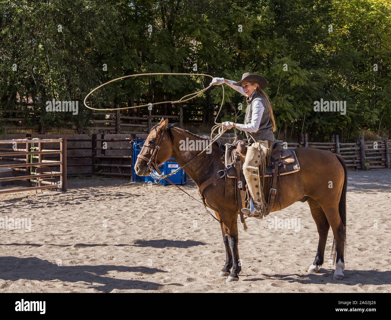 Cowgirl roping hi-res stock photography and images - Alamy