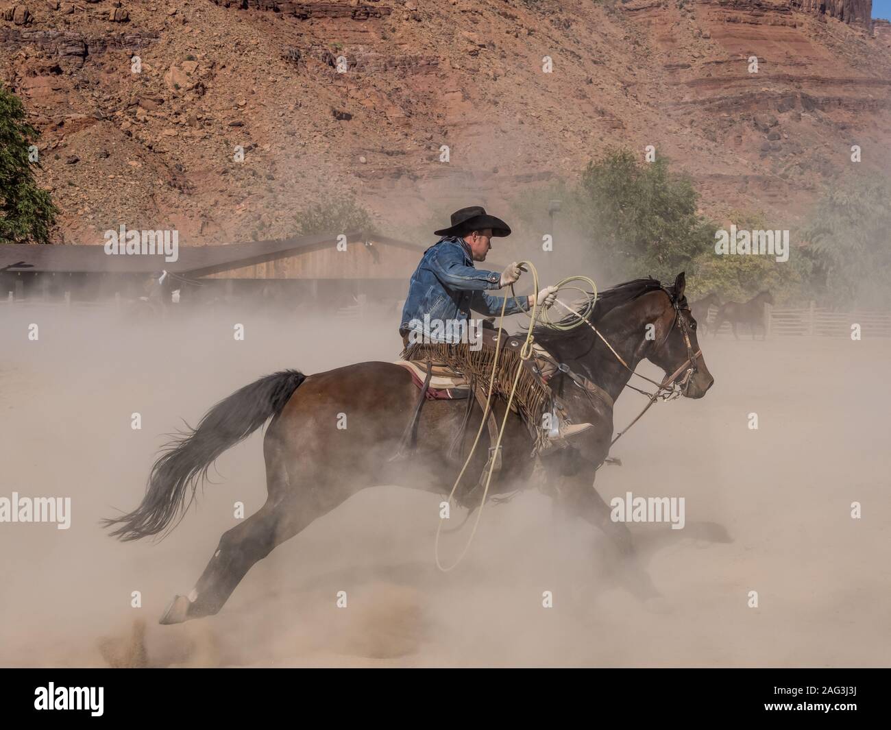 Ranch rope cow usa hi-res stock photography and images - Alamy
