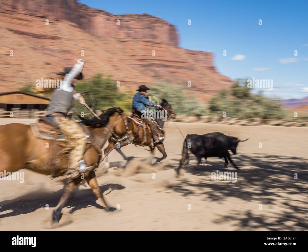 Cowgirl roping hi-res stock photography and images - Alamy