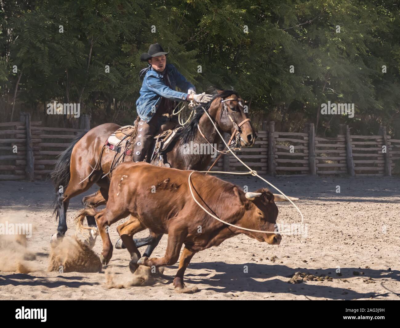 Cowboy roping hi-res stock photography and images - Alamy