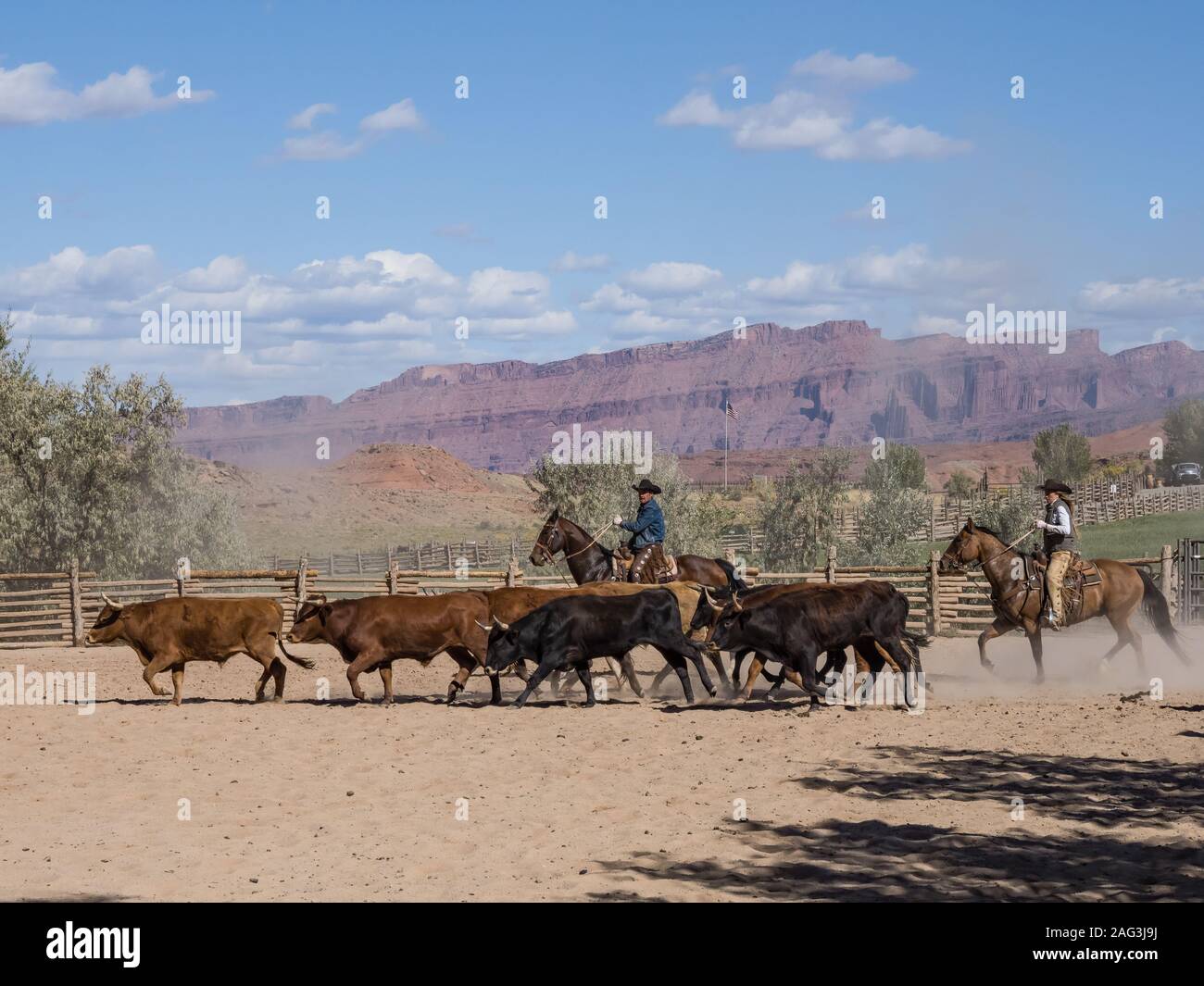 Dusty ranch tack hi-res stock photography and images - Alamy