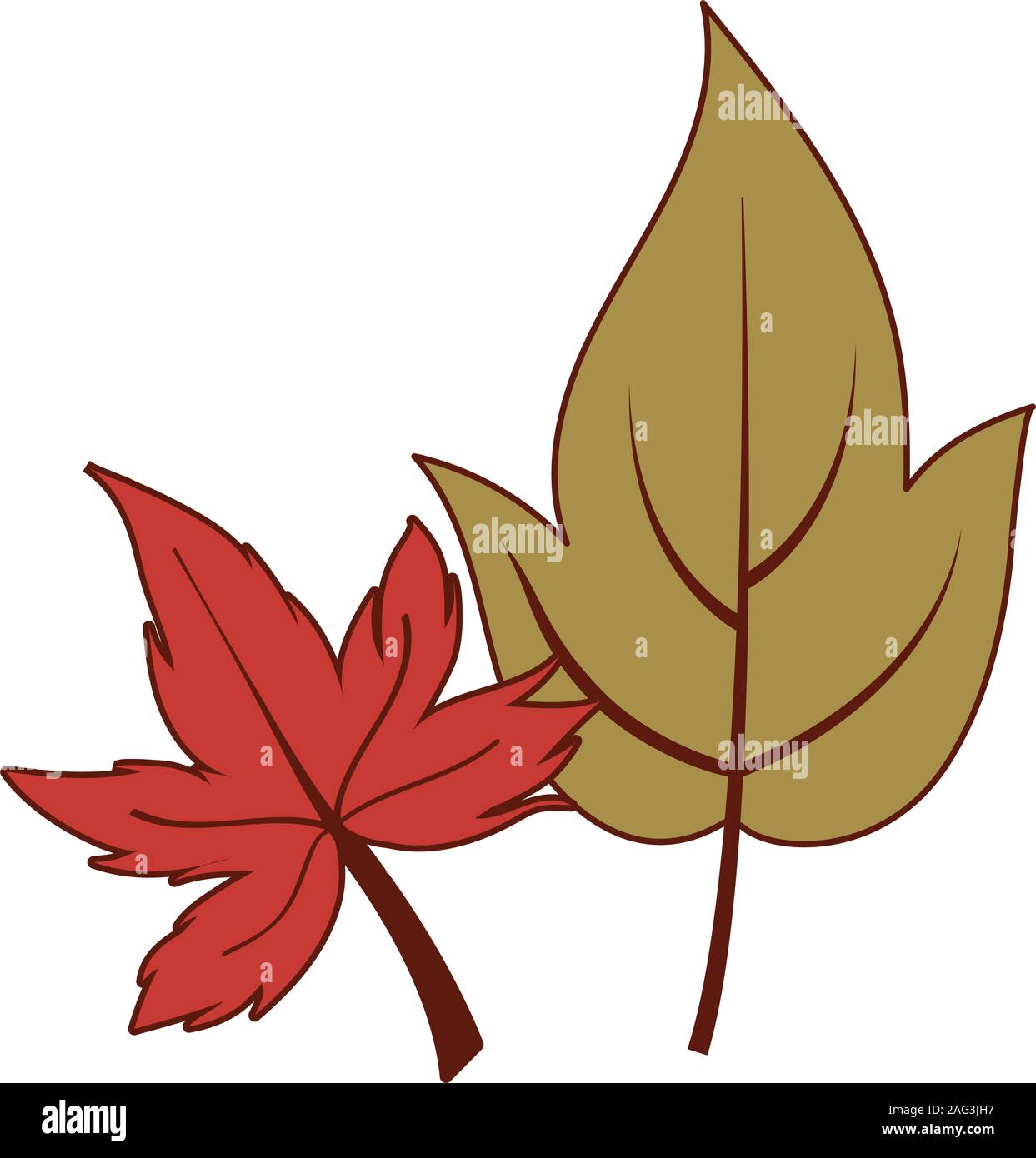 Two autumn leaves design, season nature ornament garden decoration and ...