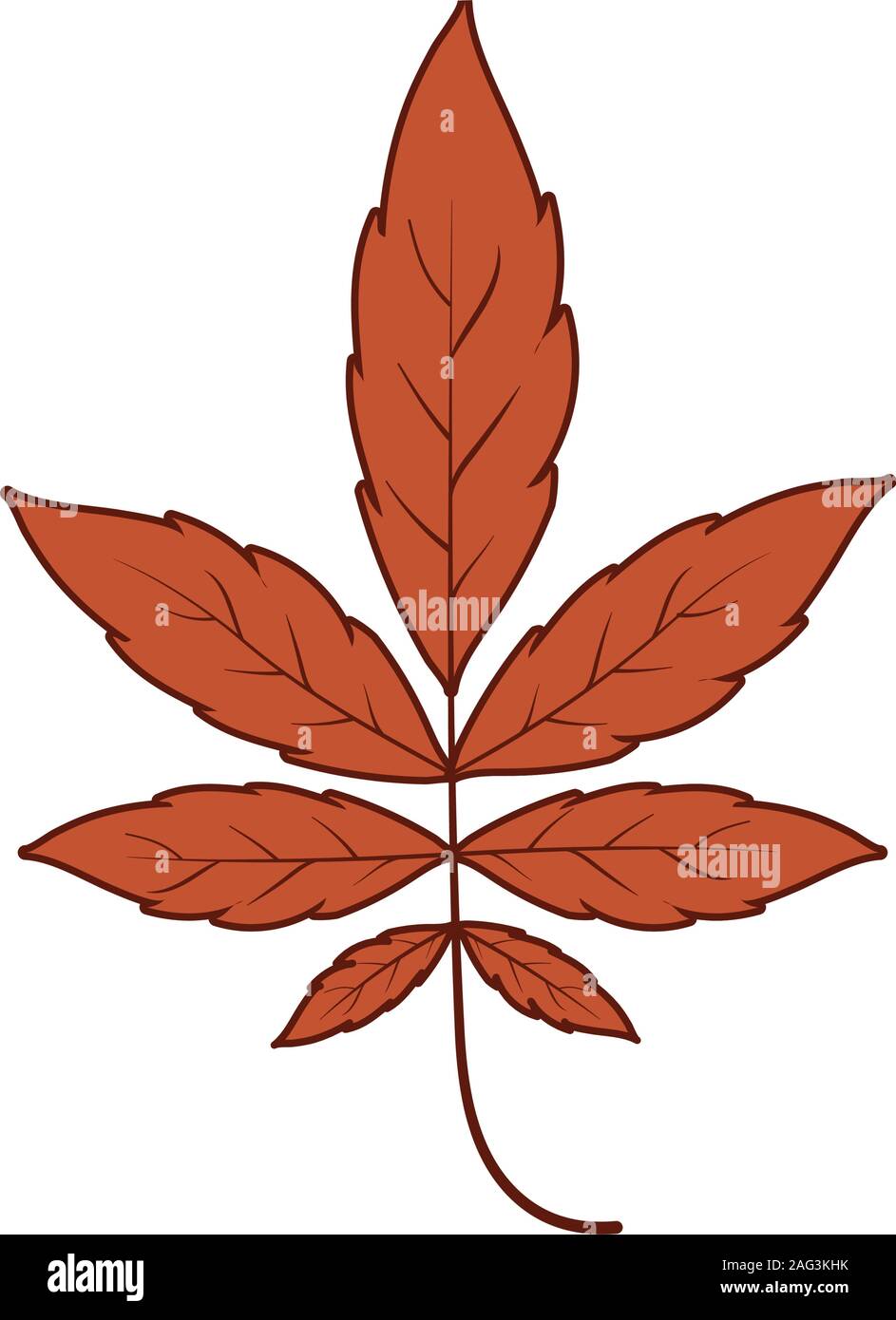 Autumn leaf design, season nature ornament garden decoration and botany ...