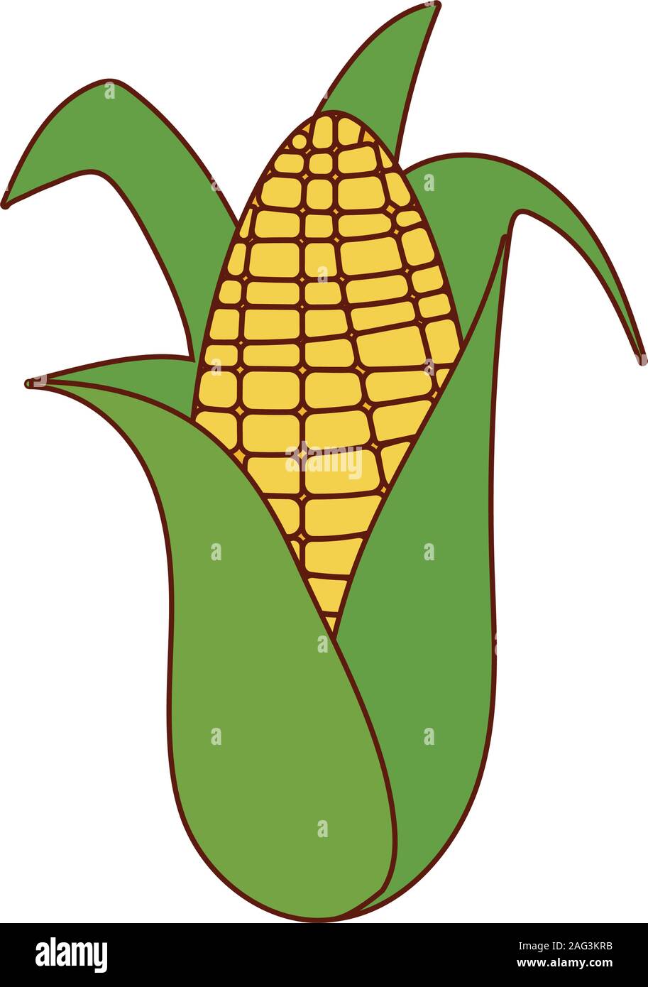 Corn design, Food vegetable agriculture green plant maize cob and ...