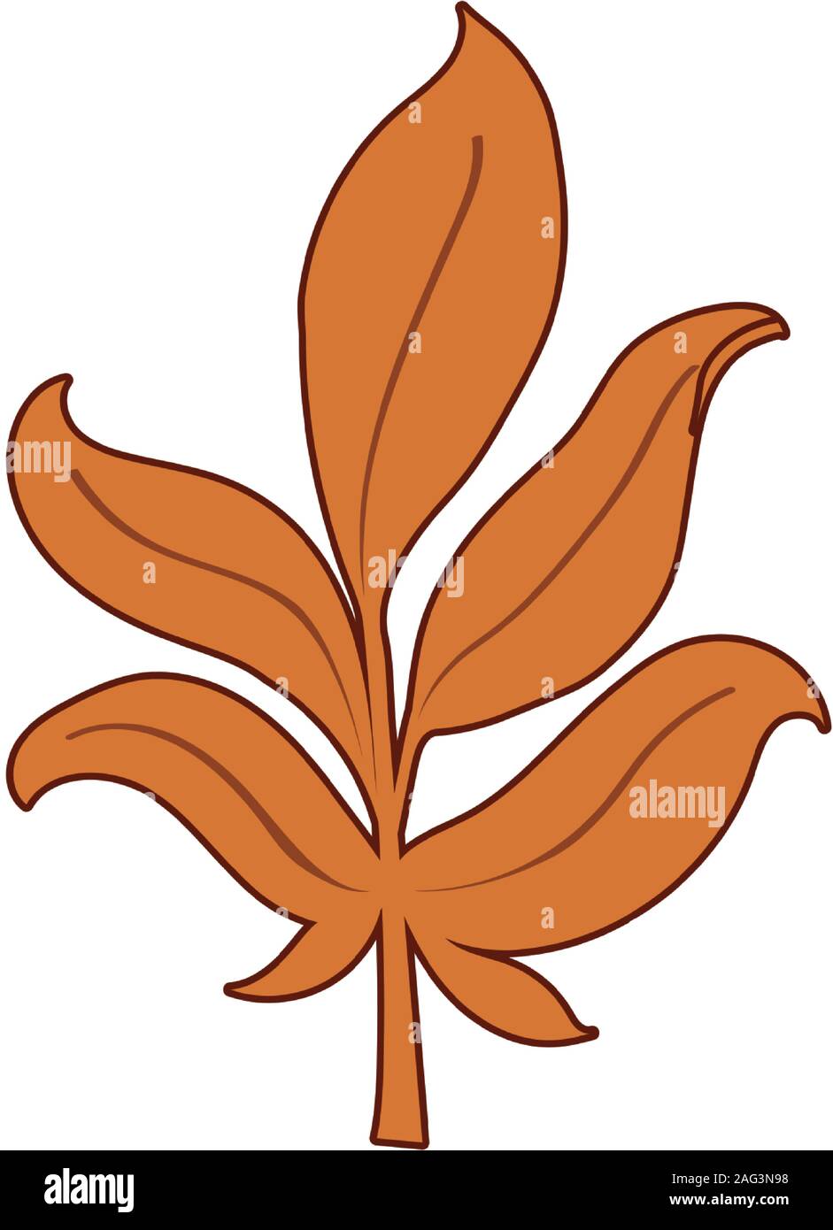 Autumn leaf design, season nature ornament garden decoration and botany ...