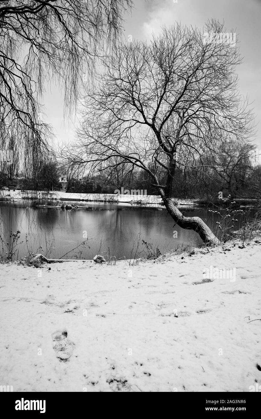 Billingham hi-res stock photography and images - Alamy