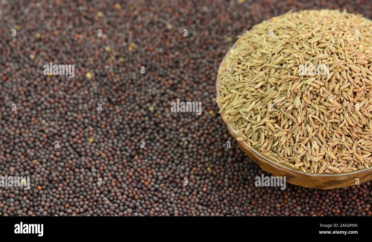 Full frame cumin seeds hi-res stock photography and images - Alamy