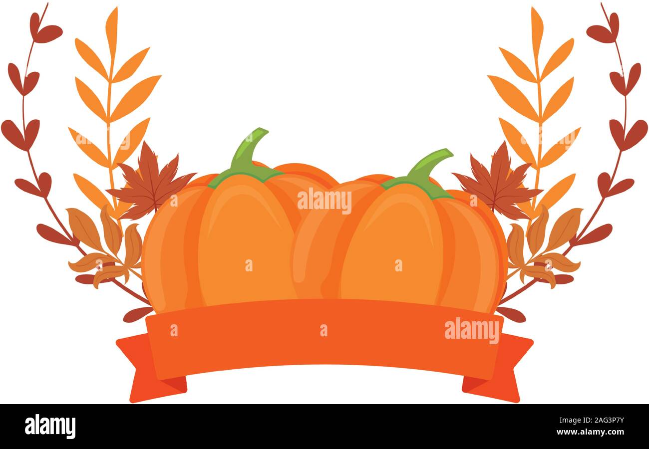Autumn pumpkins ribbon and leaves design, season nature ornament garden ...