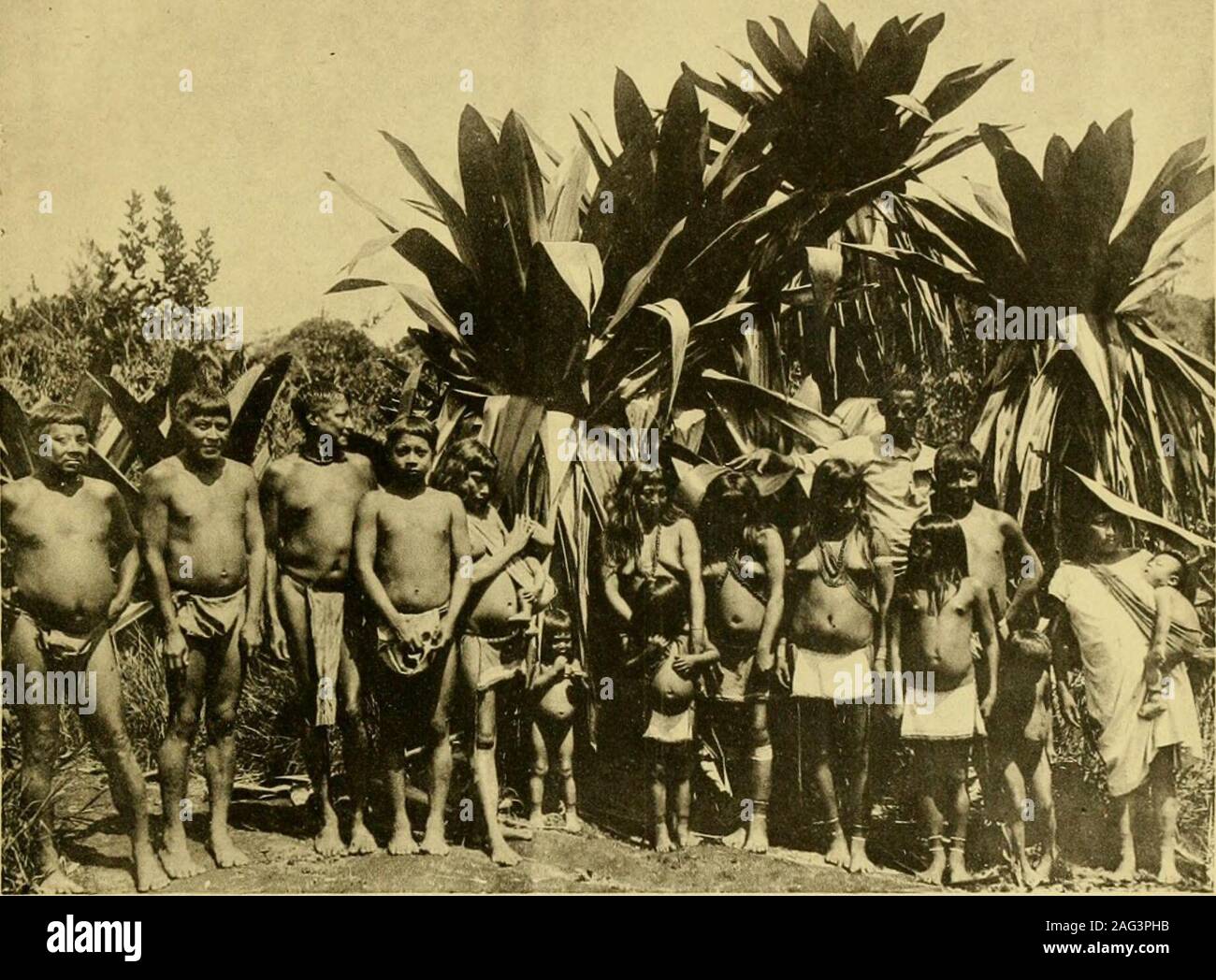 In essequibo hi-res stock photography and images - Alamy