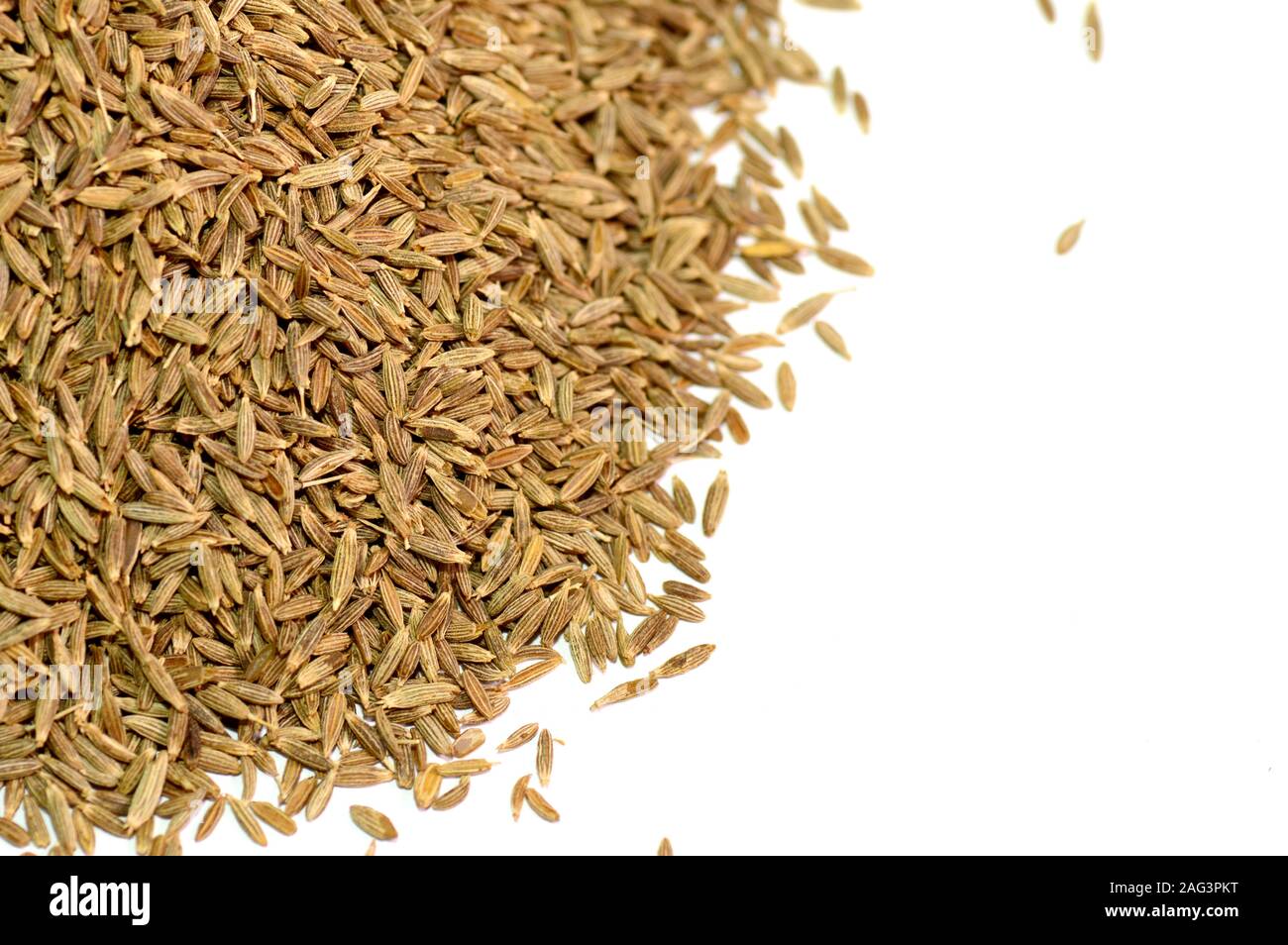 cumin seeds isolated on white background Stock Photo - Alamy