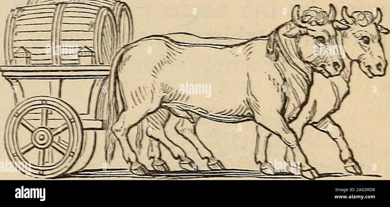 Rheda carruca hi-res stock photography and images - Alamy