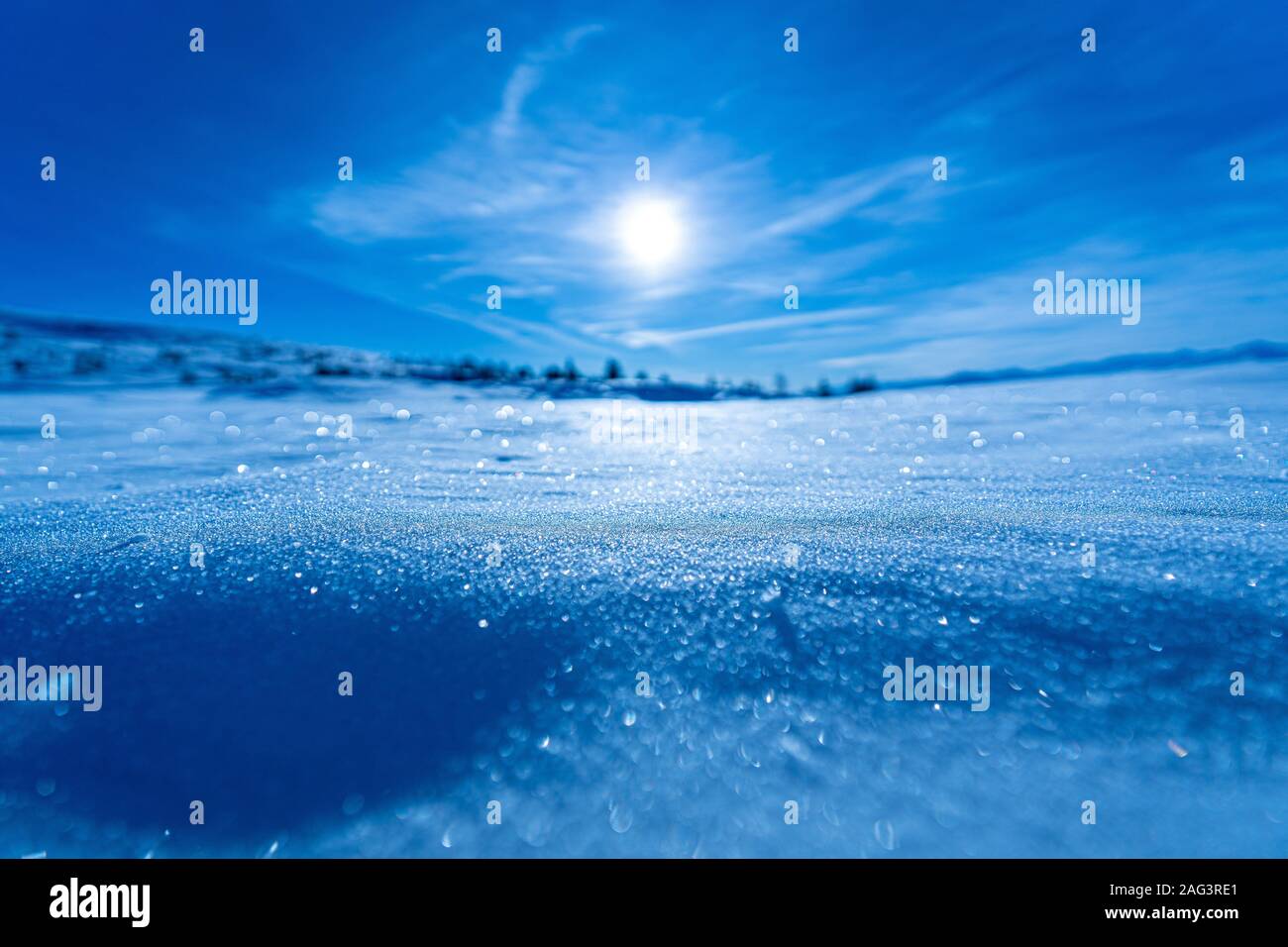 Bring out the hi-res stock photography and images - Alamy