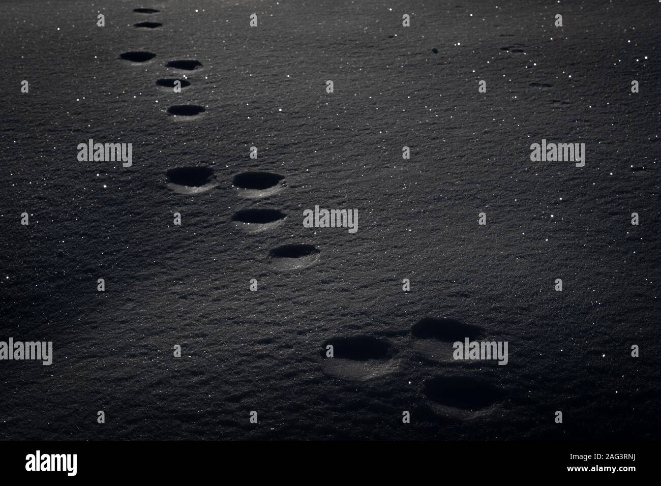 Reflective black desert, starry desert, unknown footprints Stock Photo ...