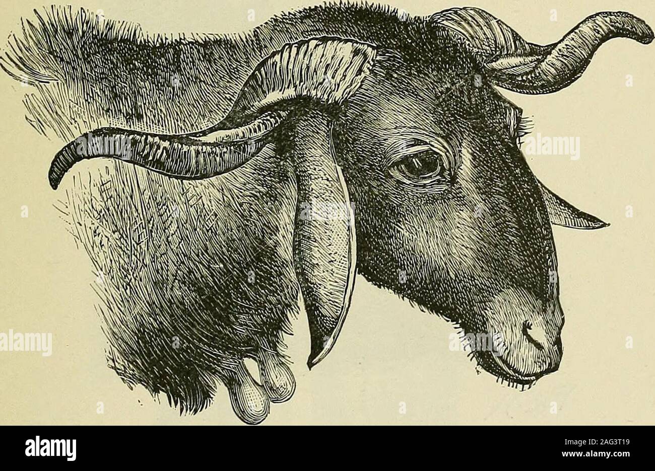 . Tumours, innocent and malignant; their clinical characters and ...