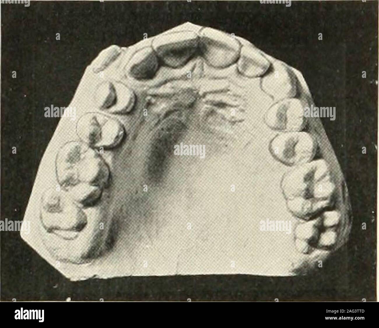 . The science and practice of dental surgery. dthe roots of the ...