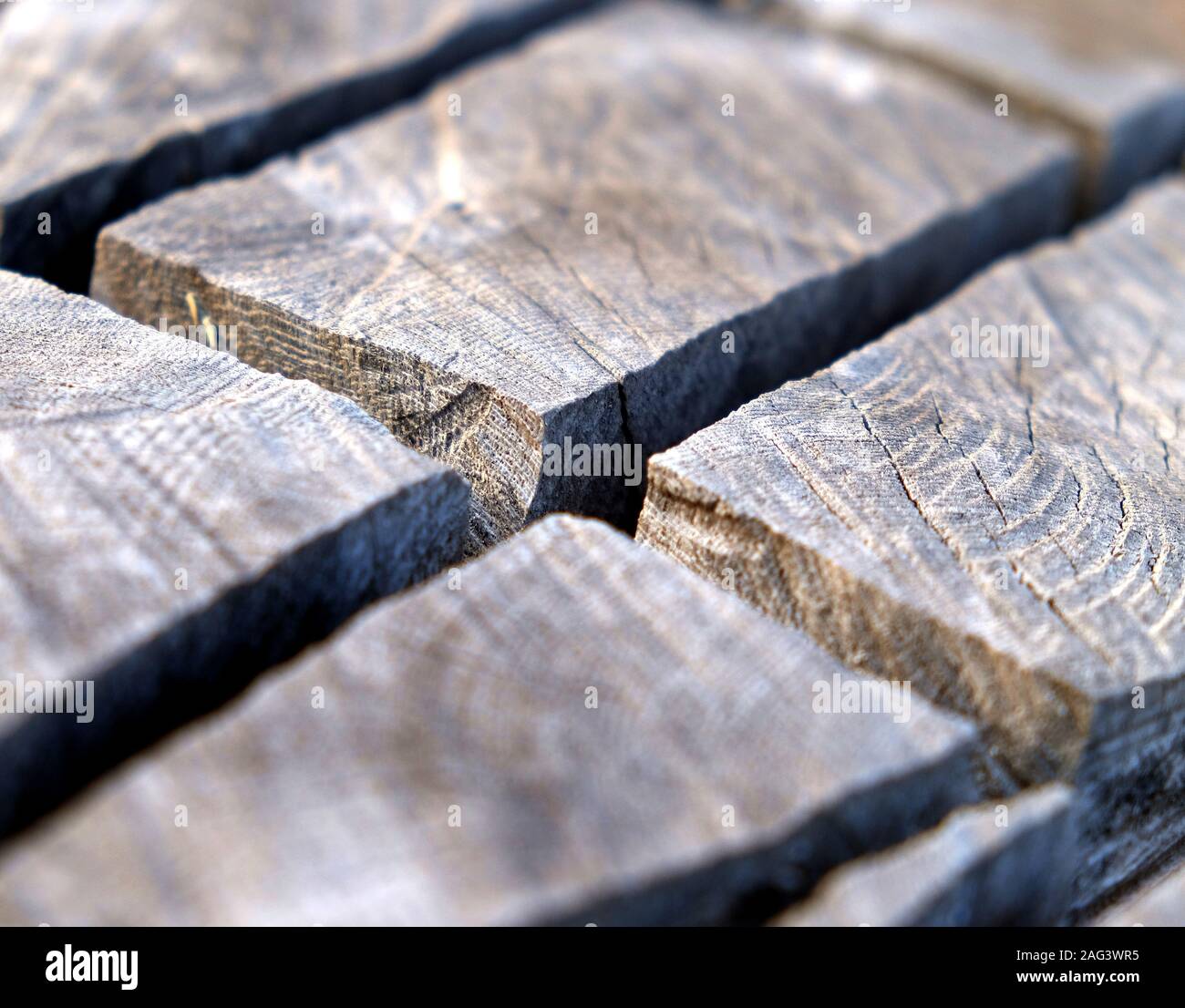 Selective logging hi-res stock photography and images - Alamy