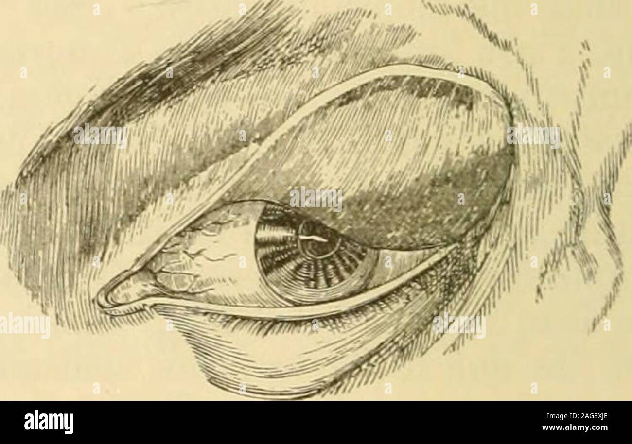 No more lids hi-res stock photography and images - Alamy