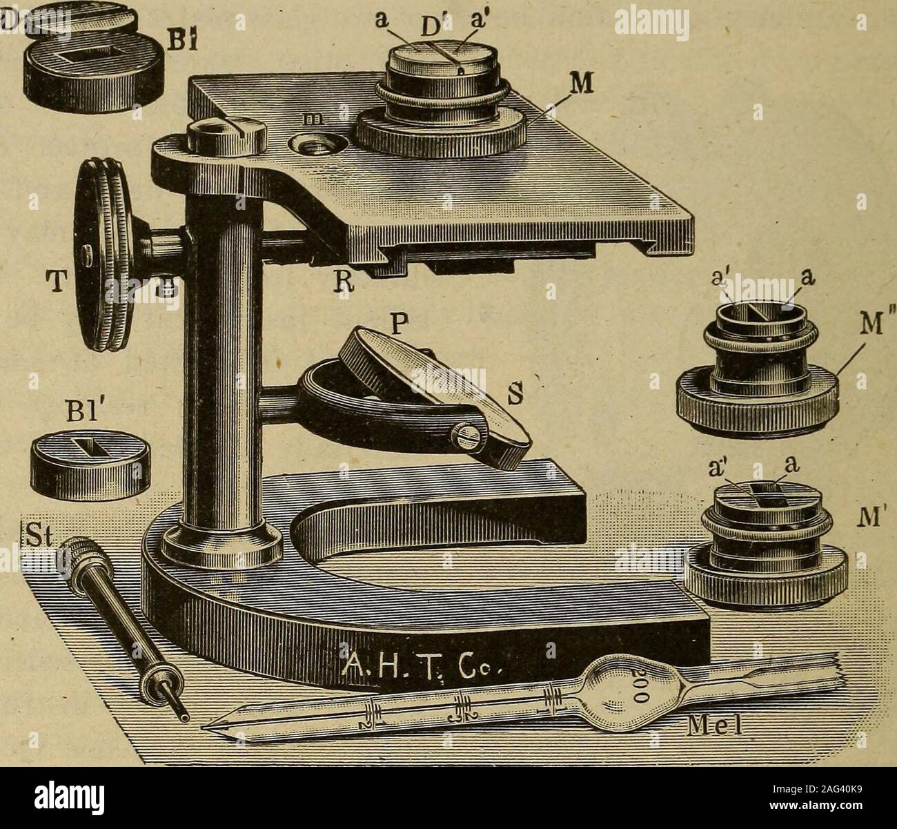 hemoglobin estimation