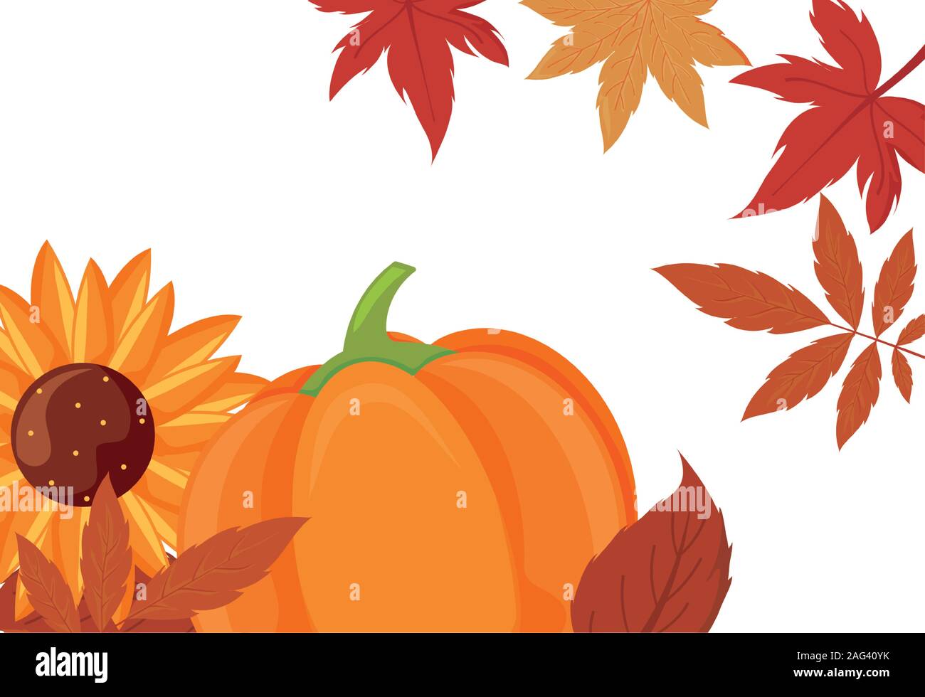Autumn pumpkins sunflowers and leaves design, season nature ornament ...