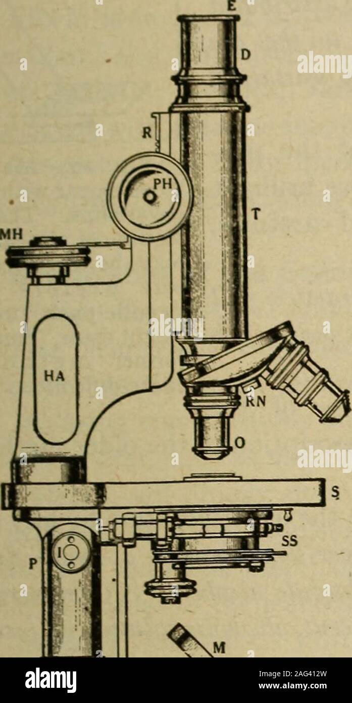 Blood smear glass hi-res stock photography and images - Alamy