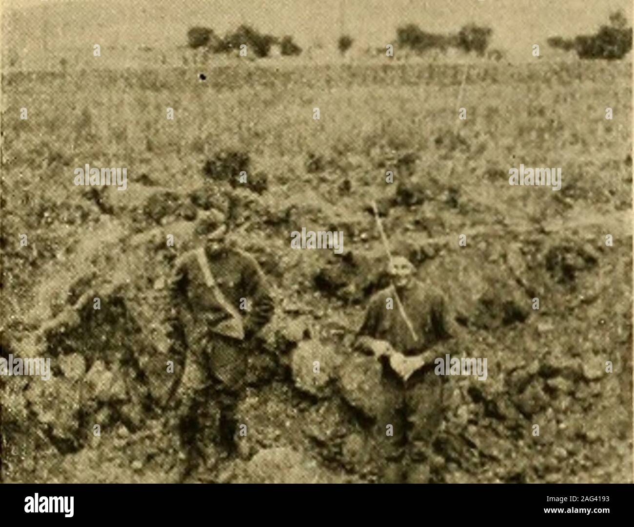 . A history of Section 647, United States army ambulance service with ...