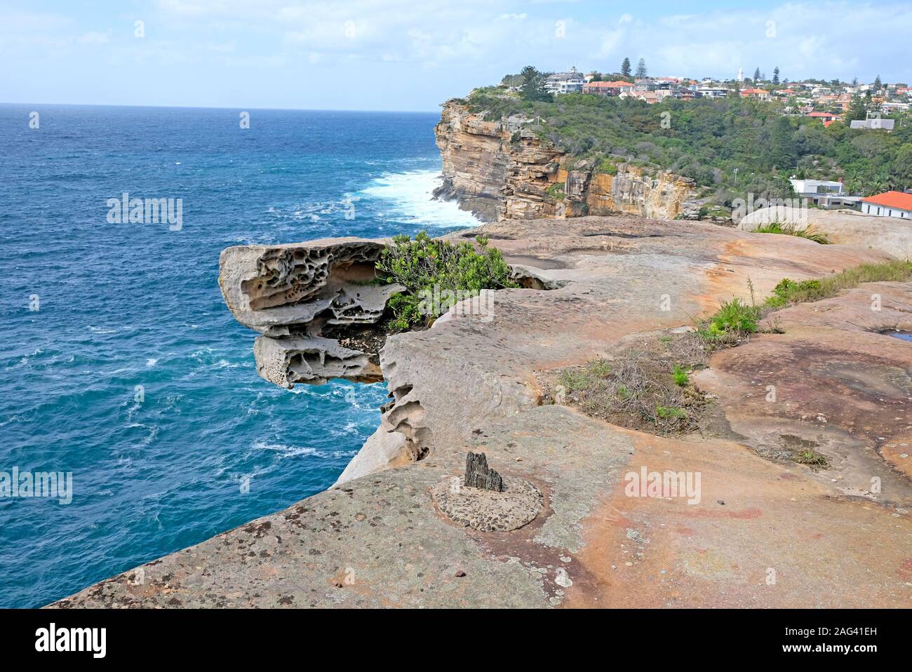 A part of Federation Cliff walk Watsons Bay with stunning views on high ...