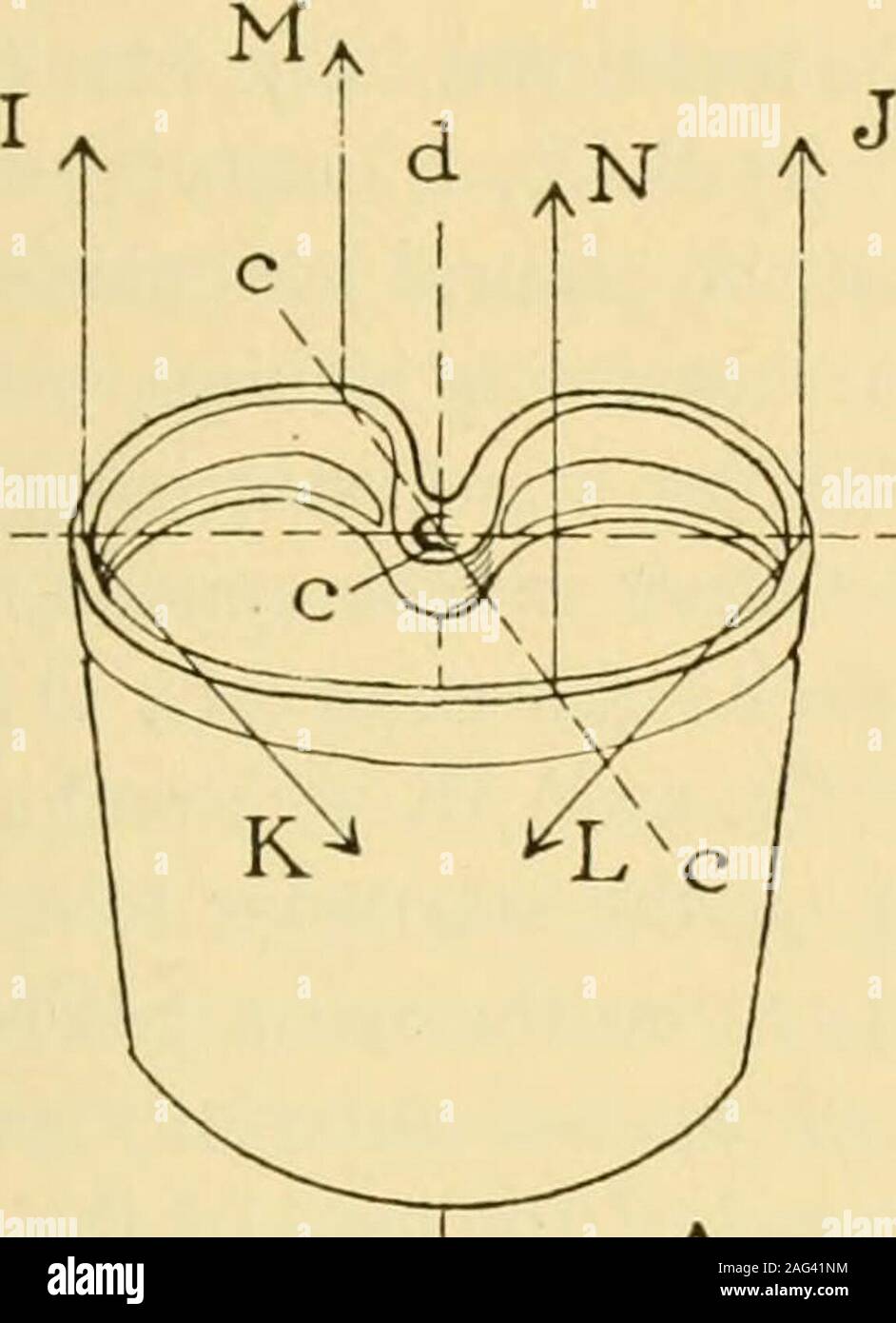 . Smithsonian miscellaneous collections. o-trochanteral joint ...