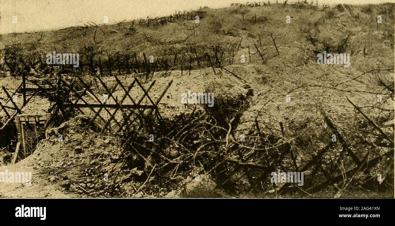 . A history of Section 647, United States army ambulance service with ...