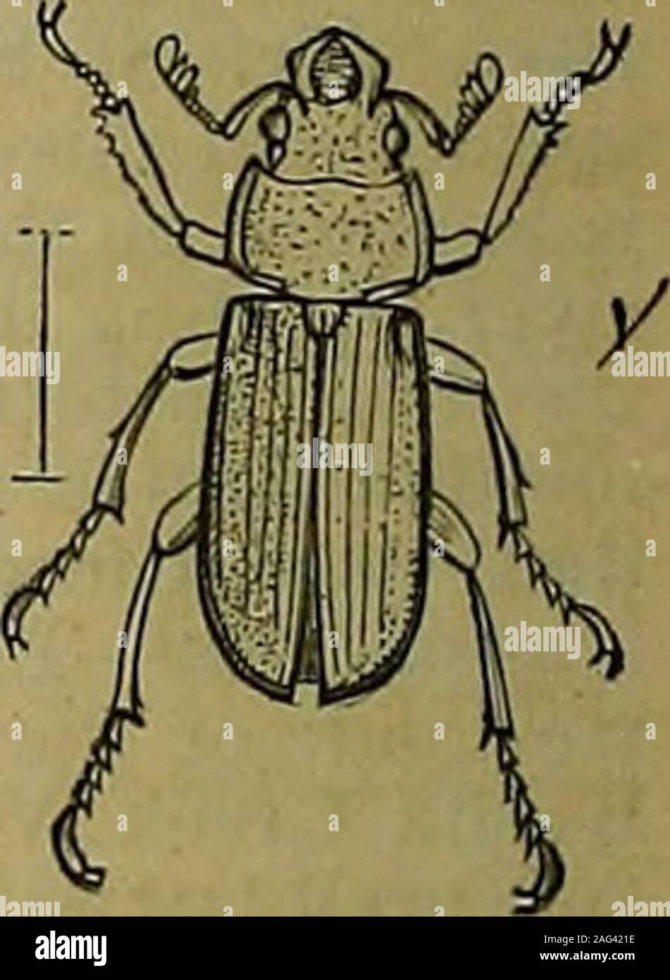 Dirty place worms hi-res stock photography and images - Alamy