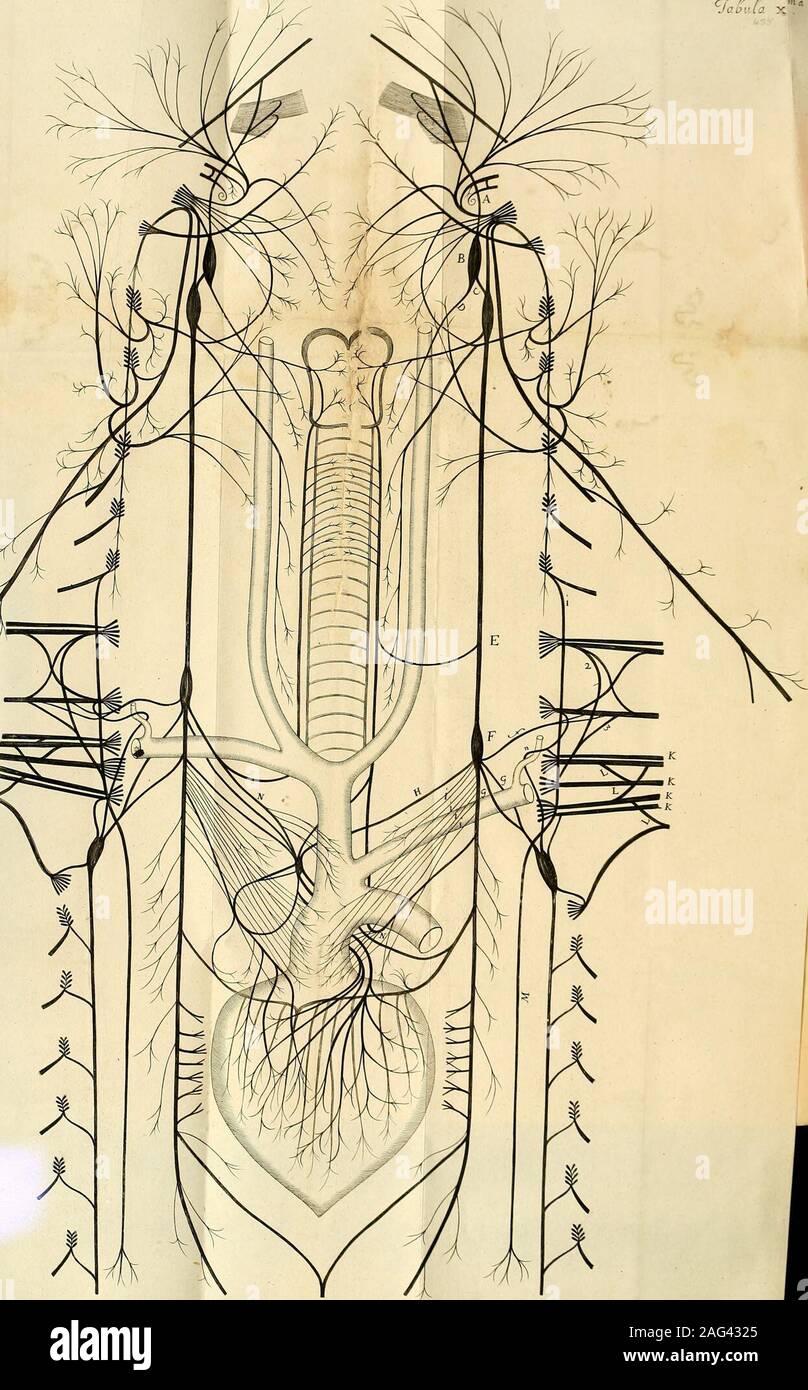 . Cerebri anatome : cui accessit nervorum descriptio et usus. /. 4-4-4 ...