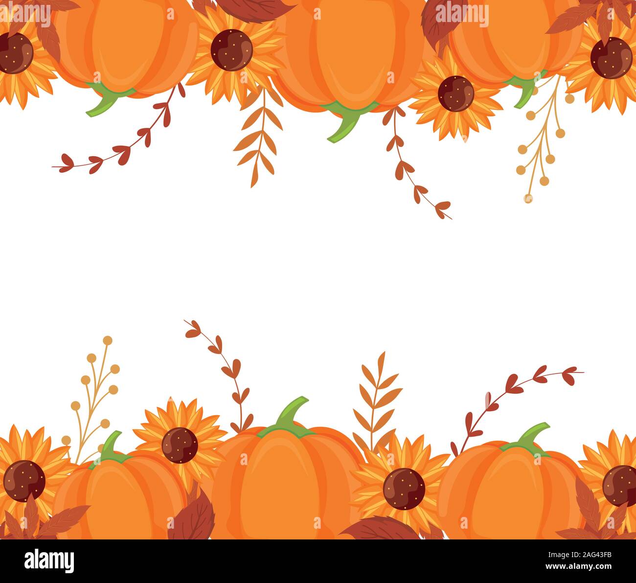 Autumn pumpkins sunflowers and leaves design, season nature ornament ...