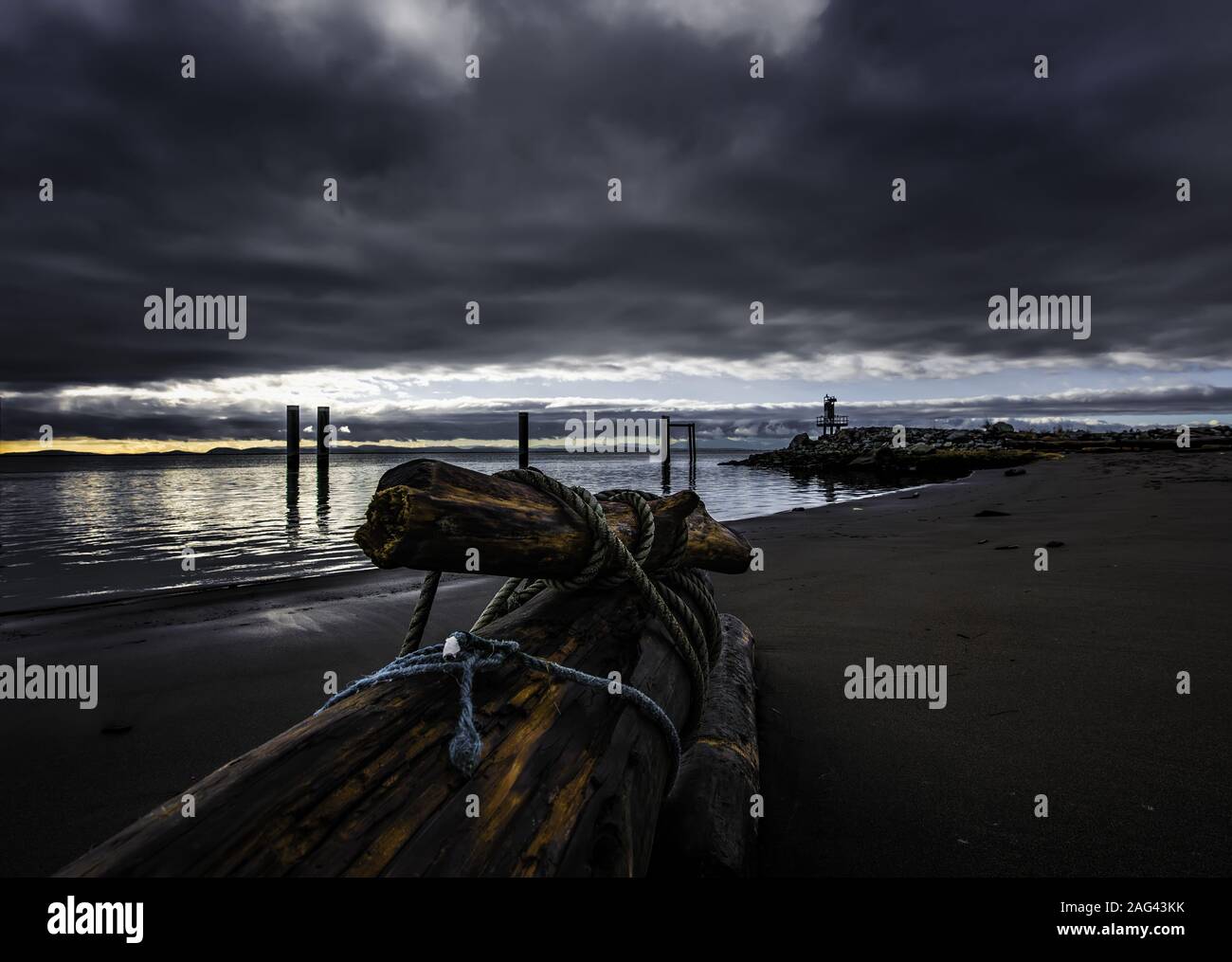 Beautiful view of an ancient wooden log on the beach near sea under ...