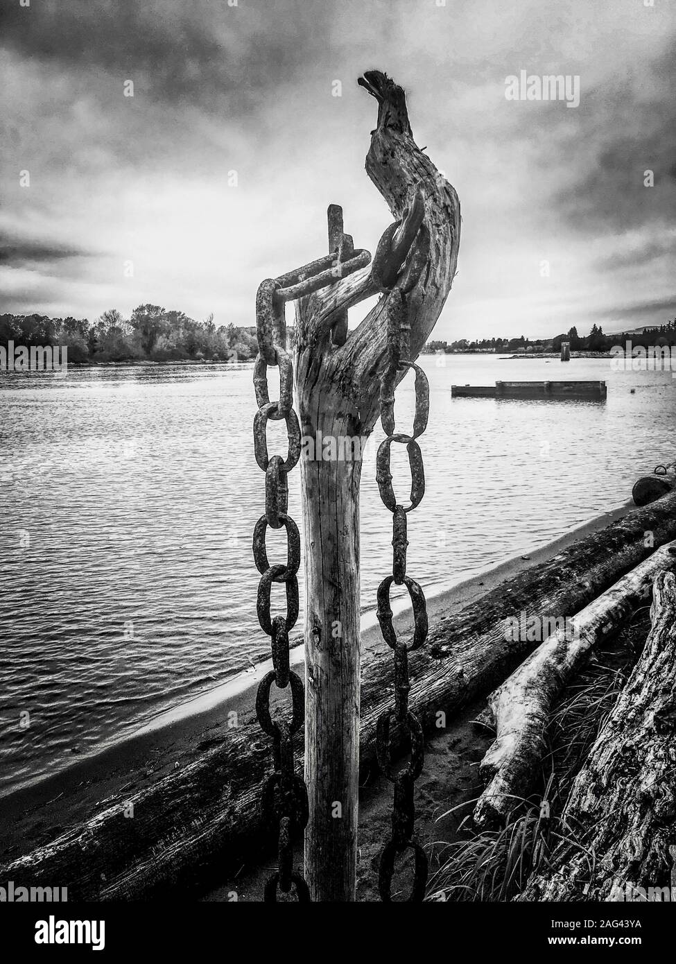 Vertical greyscale shot of a chain on a wood near the lake under the ...
